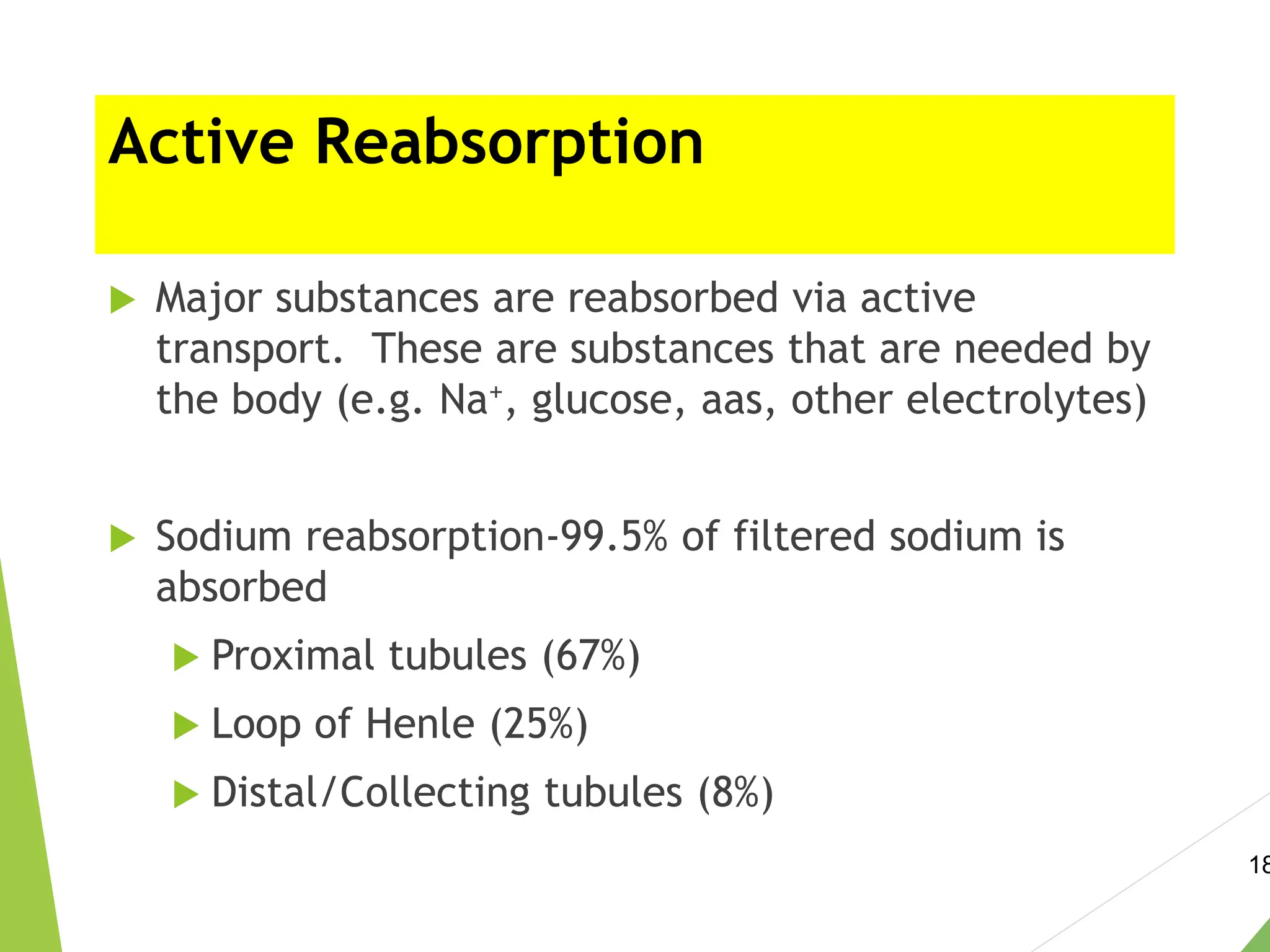 Physiology of Renal system GFR URINE FORMATION | PPTX