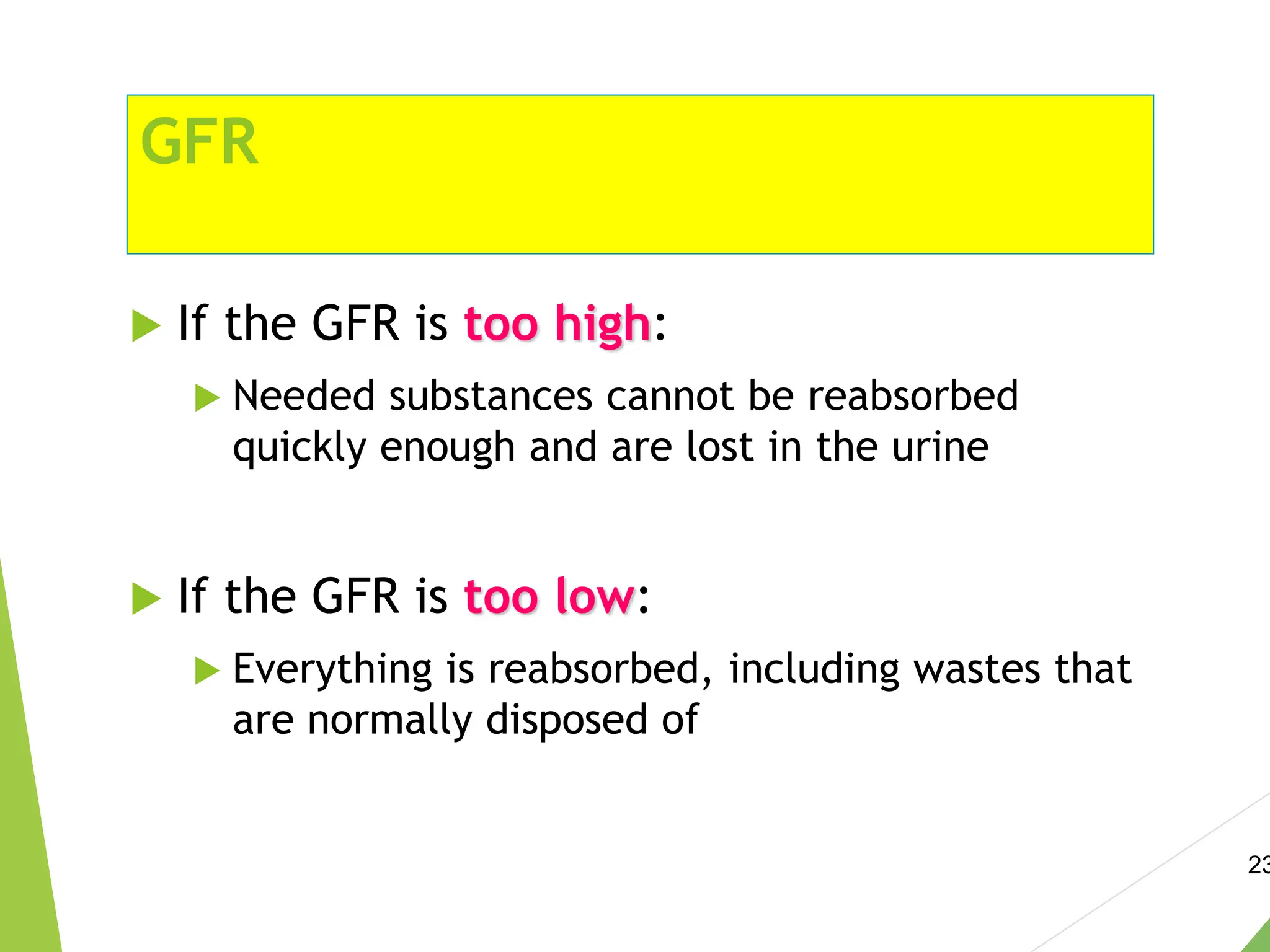 Physiology of Renal system GFR URINE FORMATION | PPTX