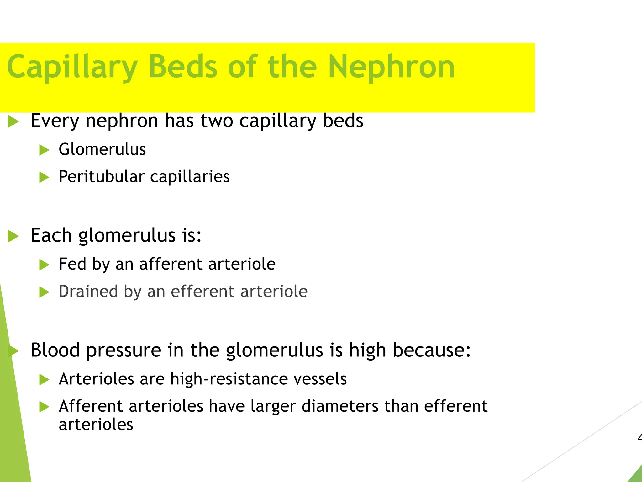 Physiology of Renal system GFR URINE FORMATION | PPTX