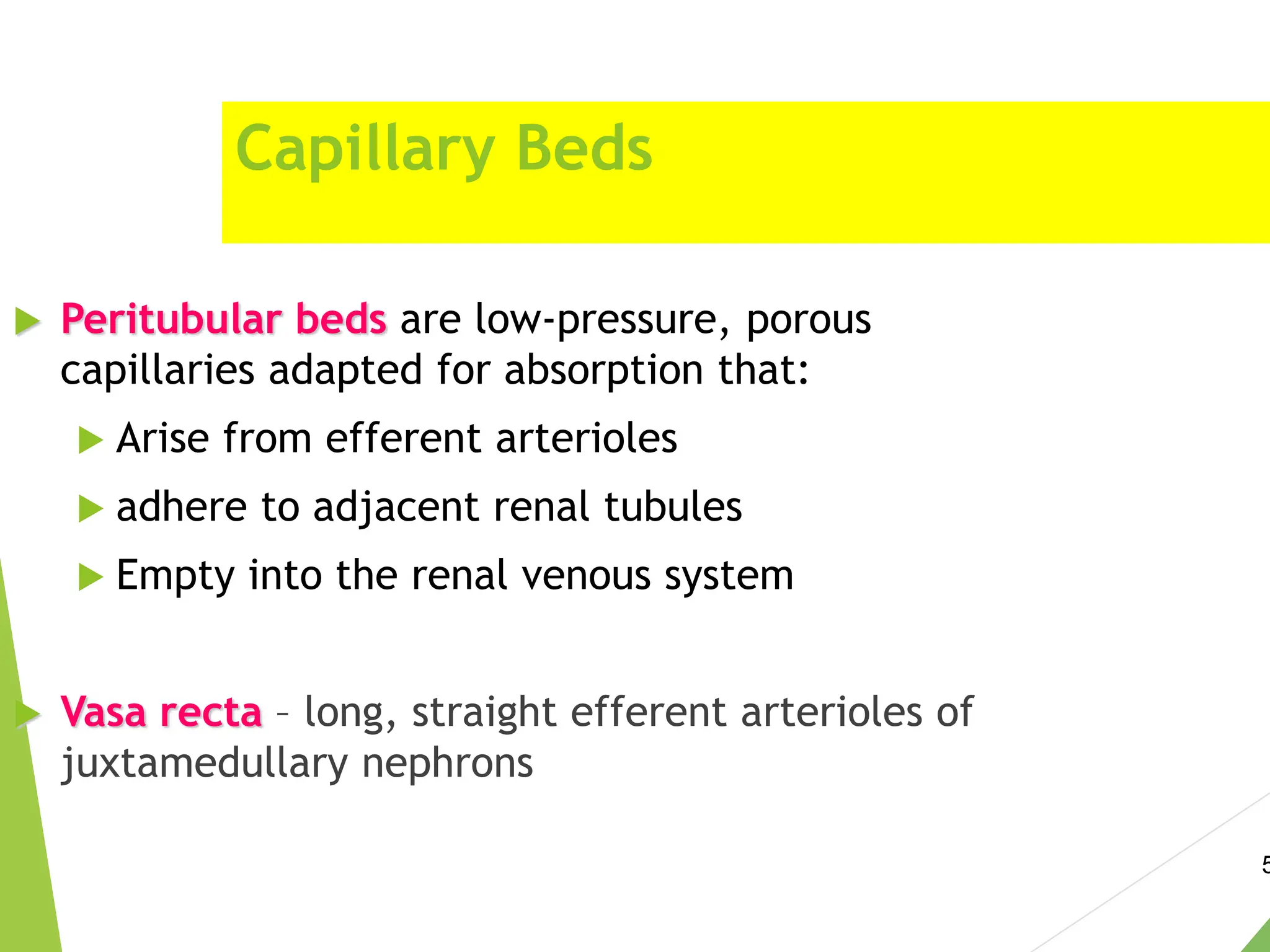 Physiology of Renal system GFR URINE FORMATION | PPTX
