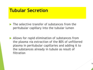 Physiology of Renal system GFR URINE FORMATION | PPTX