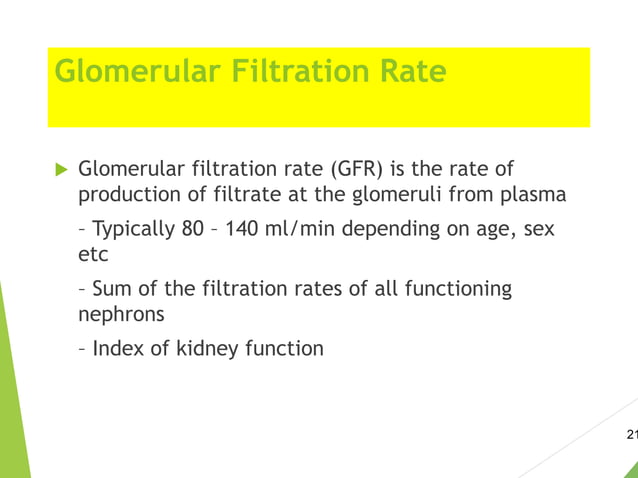 Physiology of Renal system GFR URINE FORMATION | PPT