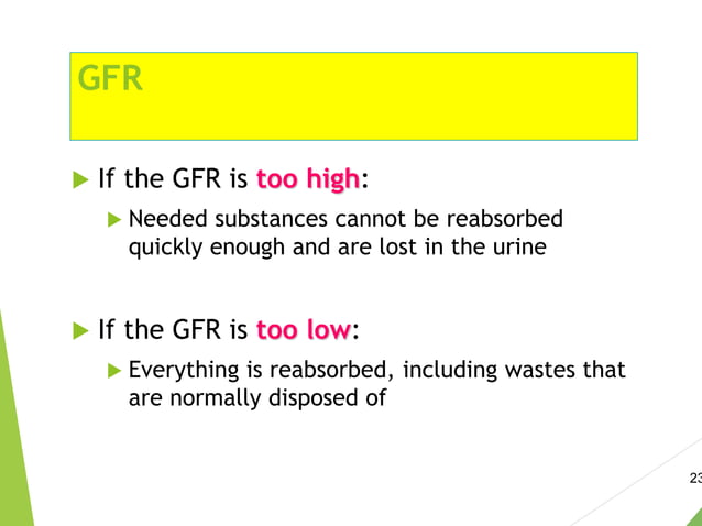 Physiology of Renal system GFR URINE FORMATION | PPT