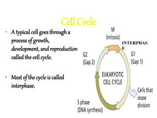 2-Replication [2].ppt