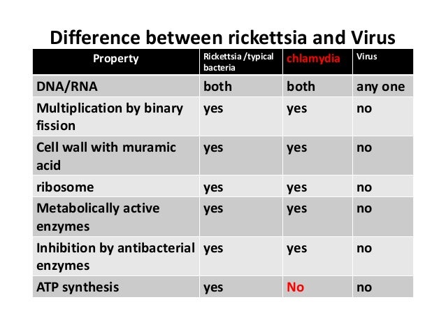😊 Difference Between Virus And Parasite Identify The Differences Between Bacteria Viruses