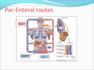 Routes of drug administartionvpp | PPT