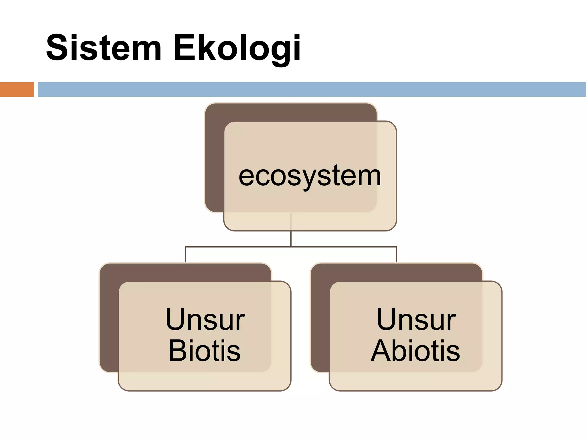 2. ruang lingkup ekologi | PPTX