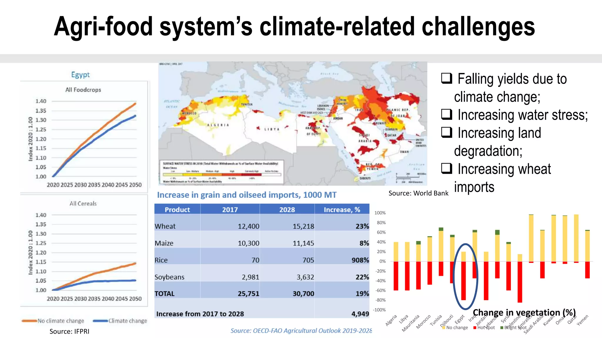 Sandra Broka (The World Bank) • 2021 IFPRI Egypt Seminar Series ...