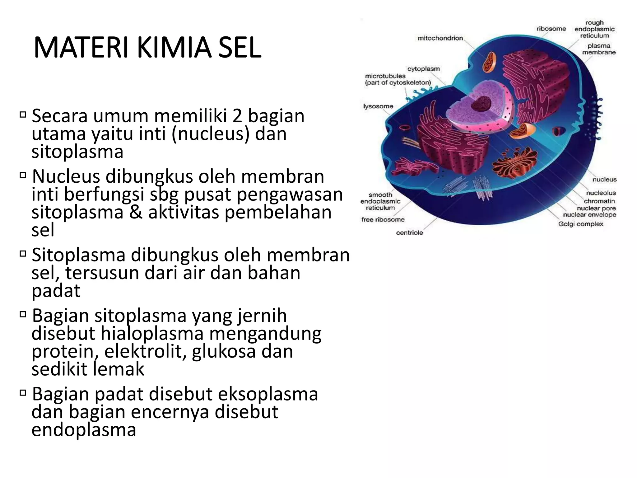 Sel dan Jaringan | PPTX