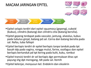 Sel dan Jaringan | PPTX