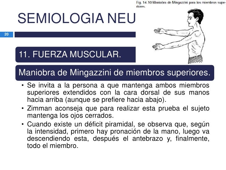 2. semiologia neurologica...parte ii