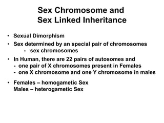 2-Sex Linked Inheritence.pptx