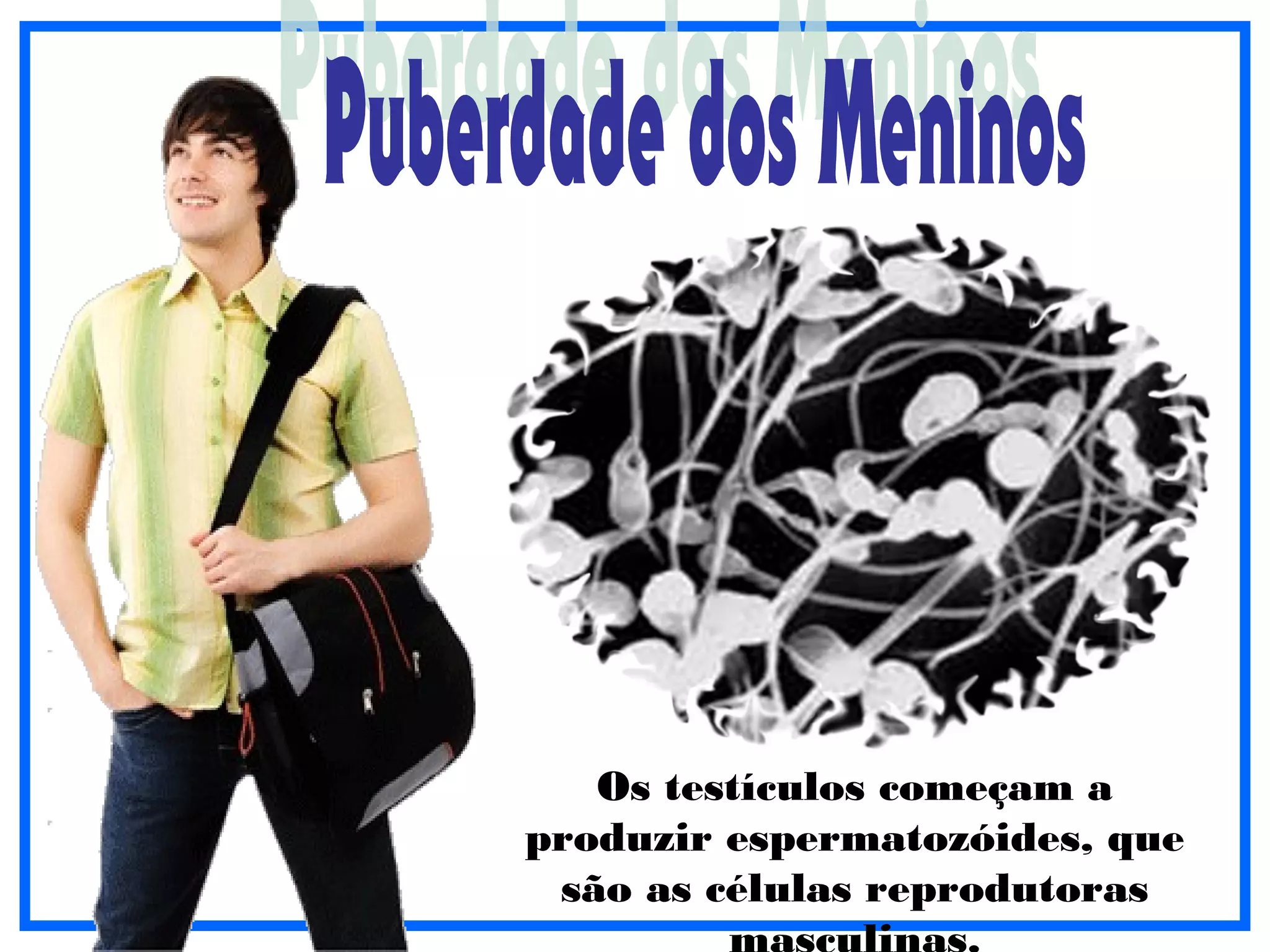 Sexualidade - puberdade - reprodução humana - métodos contraceptivos…