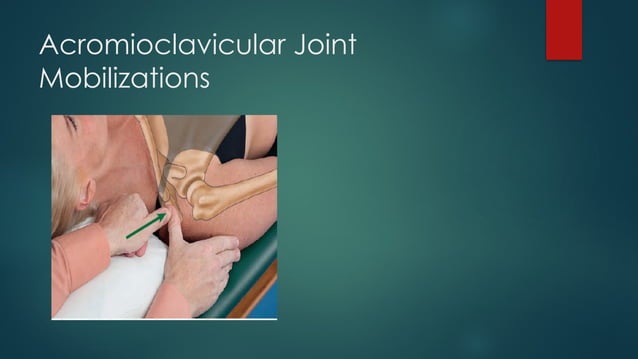 shoulder mobilization.and bone and muscle | PPT