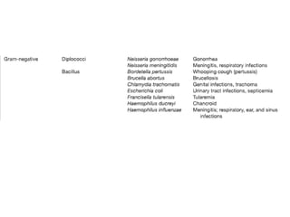 2-SIMPLE STAINING and Gram staining.pptx