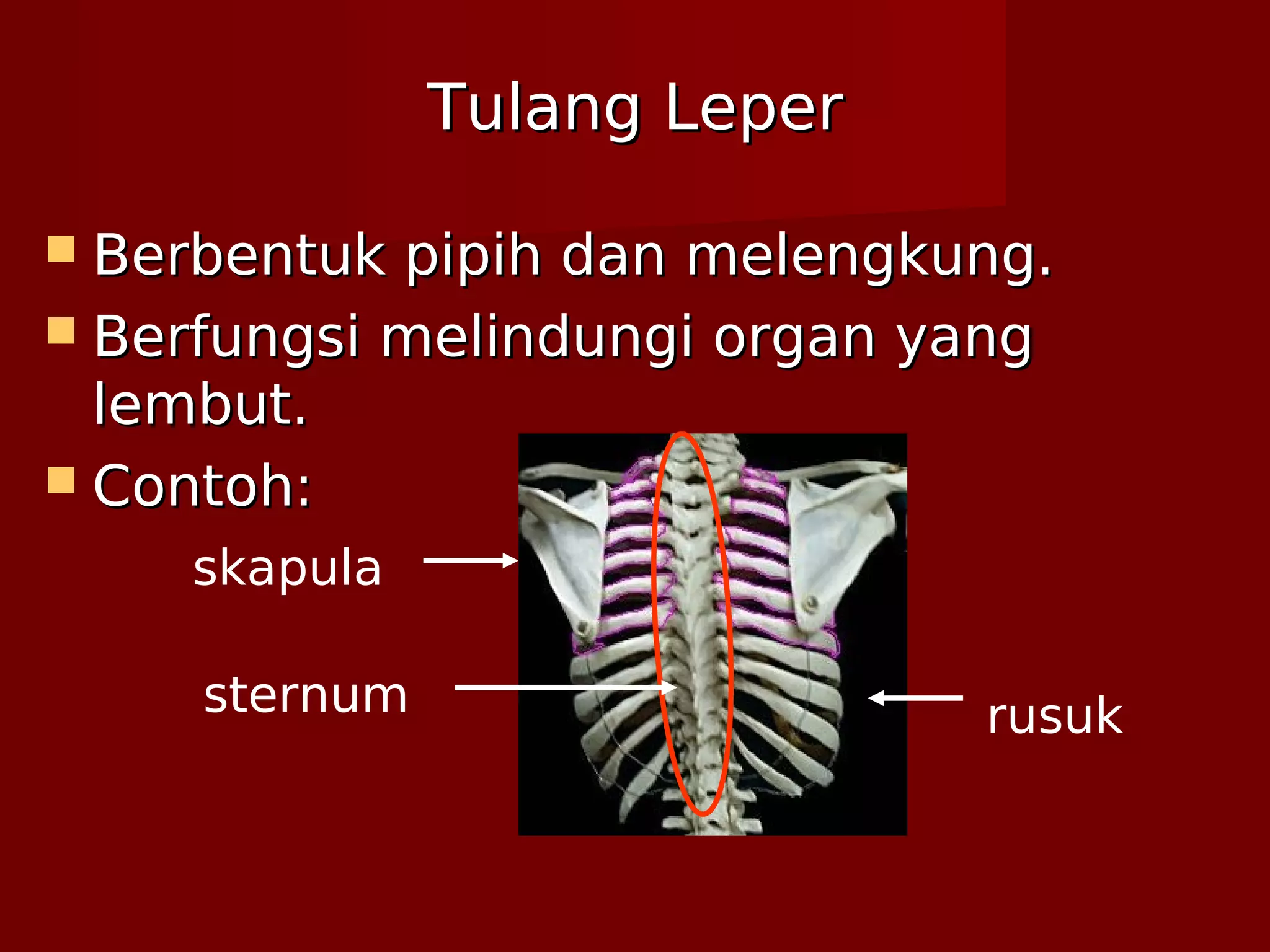 2 sistem-rangka-tingkatan-4 | PDF