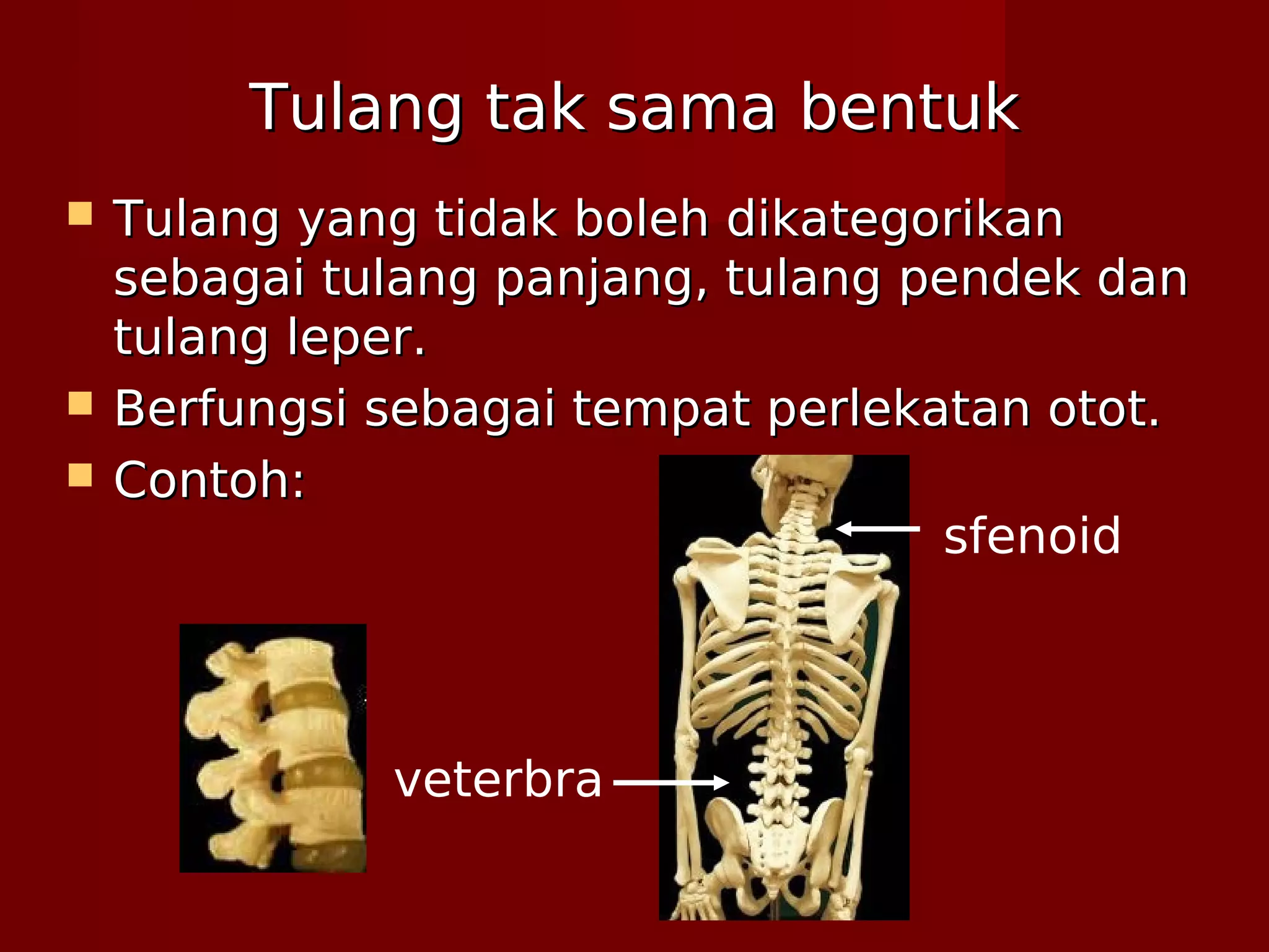 2 sistem-rangka-tingkatan-4 | PDF