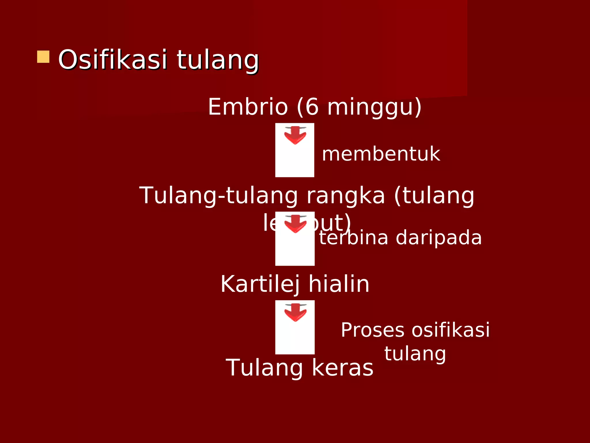 2 sistem-rangka-tingkatan-4 | PDF
