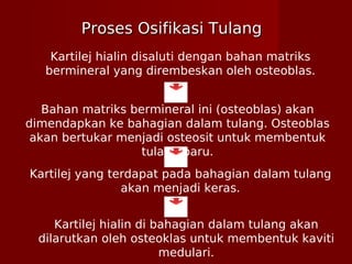 2 sistem-rangka-tingkatan-4 | PDF