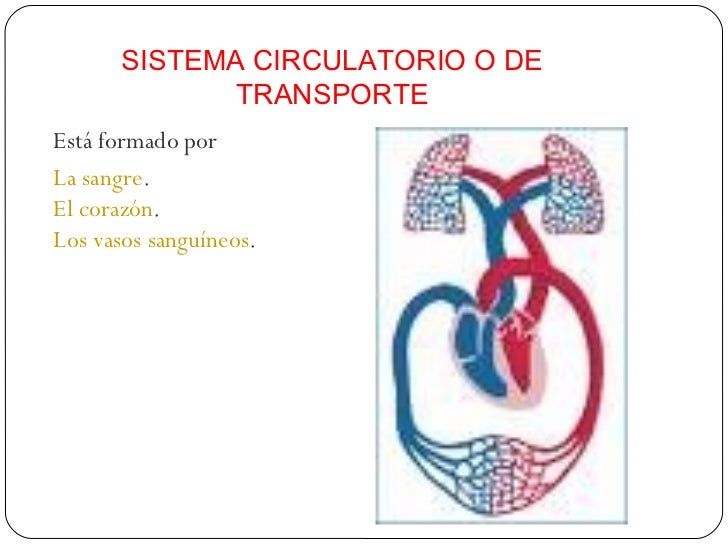 El Sistema Bibliotecario Municipal De - prestamos minicreditos