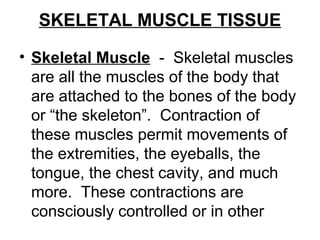 2. skeletal muscle tissue | PPT