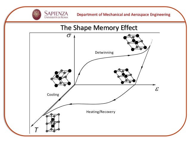 Shape Memory Alloys (SMAs)