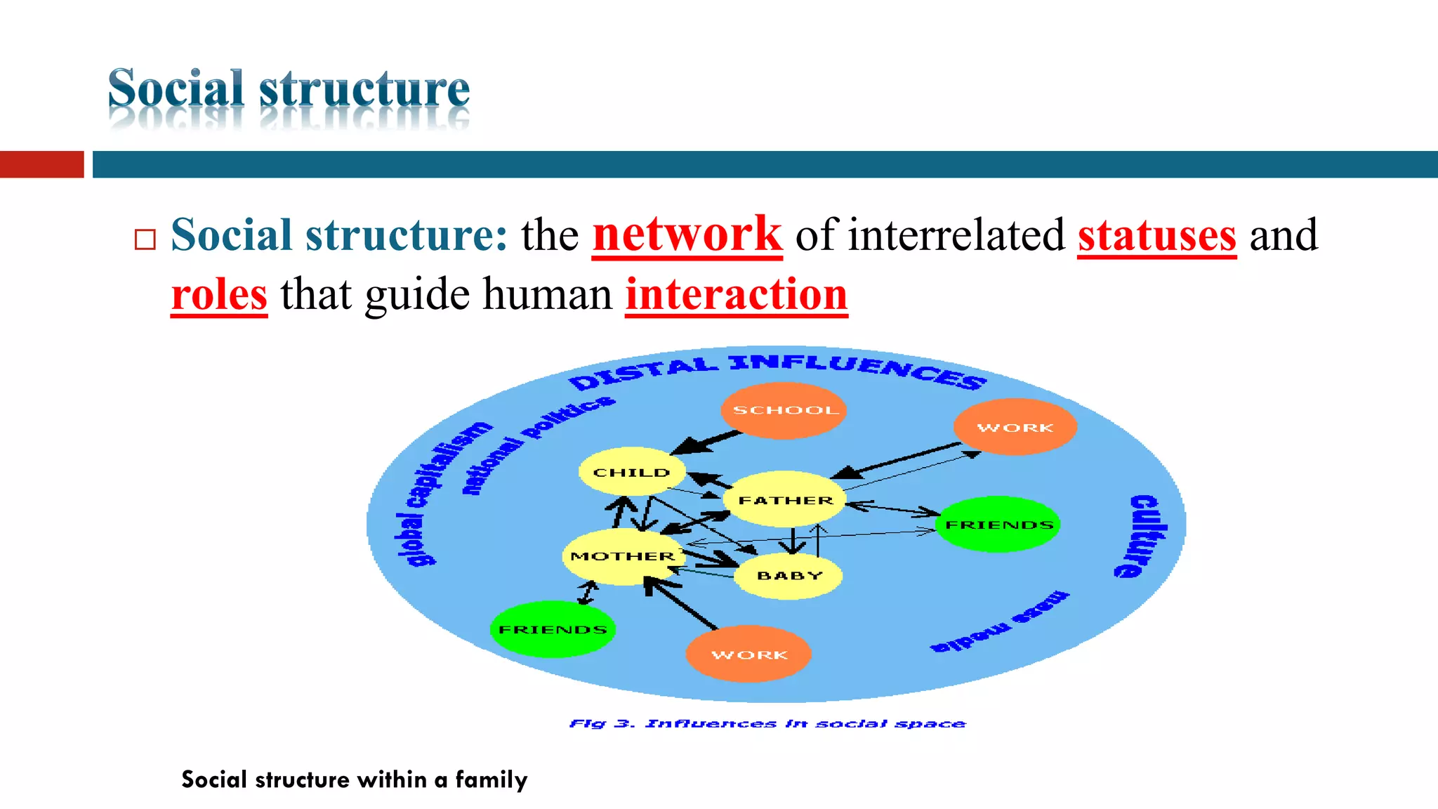 2 social structure | PDF