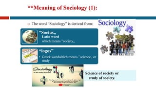 2 social structure | PDF
