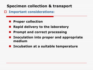 2 specimen collection | PPTX | Infectious Diseases | Diseases and ...