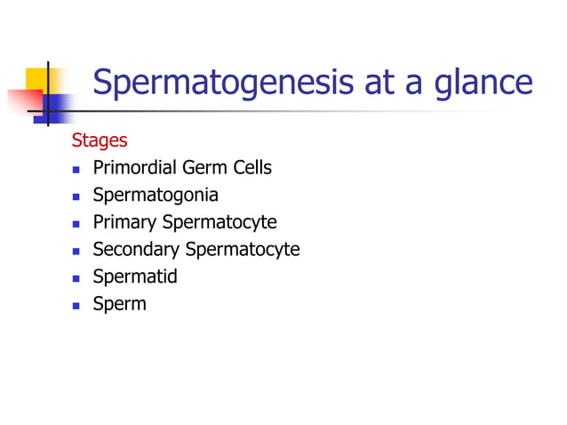 2-Spermatogenesis_sperm_semen.pdf bsc nursing | PPT