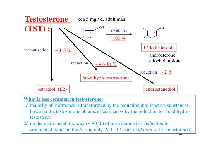 2 steroid metabolism