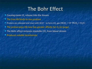 2-Structure and Function of Hemoglobin.ppt transporting oxygen from the ...