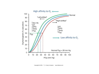2-Structure and Function of Hemoglobin.ppt transporting oxygen from the ...