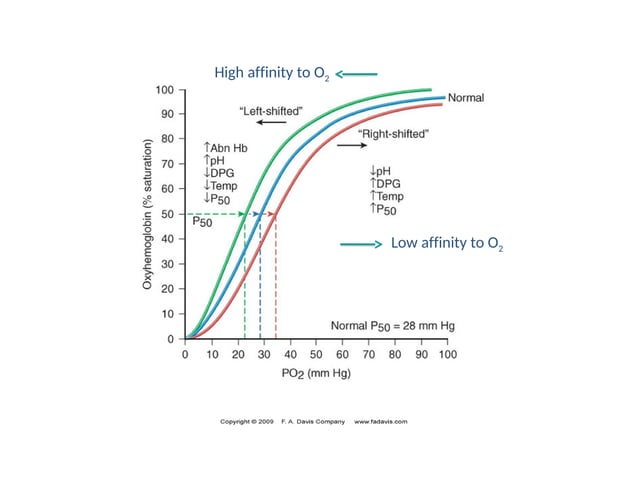 2 Structure And Function Of Hemoglobinppt Transporting Oxygen From The Lungs To The Tissues And