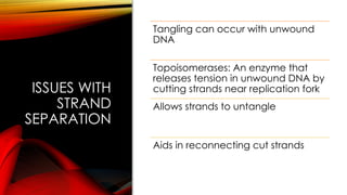 Structure and Replication of DNA. Biology University. | PPT