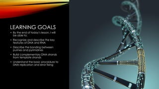 Structure and Replication of DNA. Biology University. | PPT