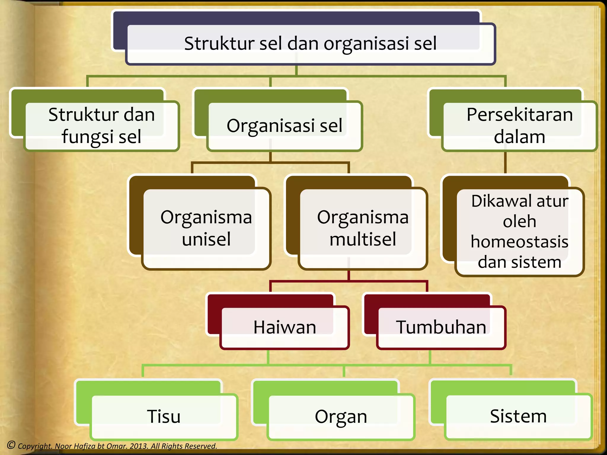 Bab 2 Struktur sel dan organisasi sel | PPTX