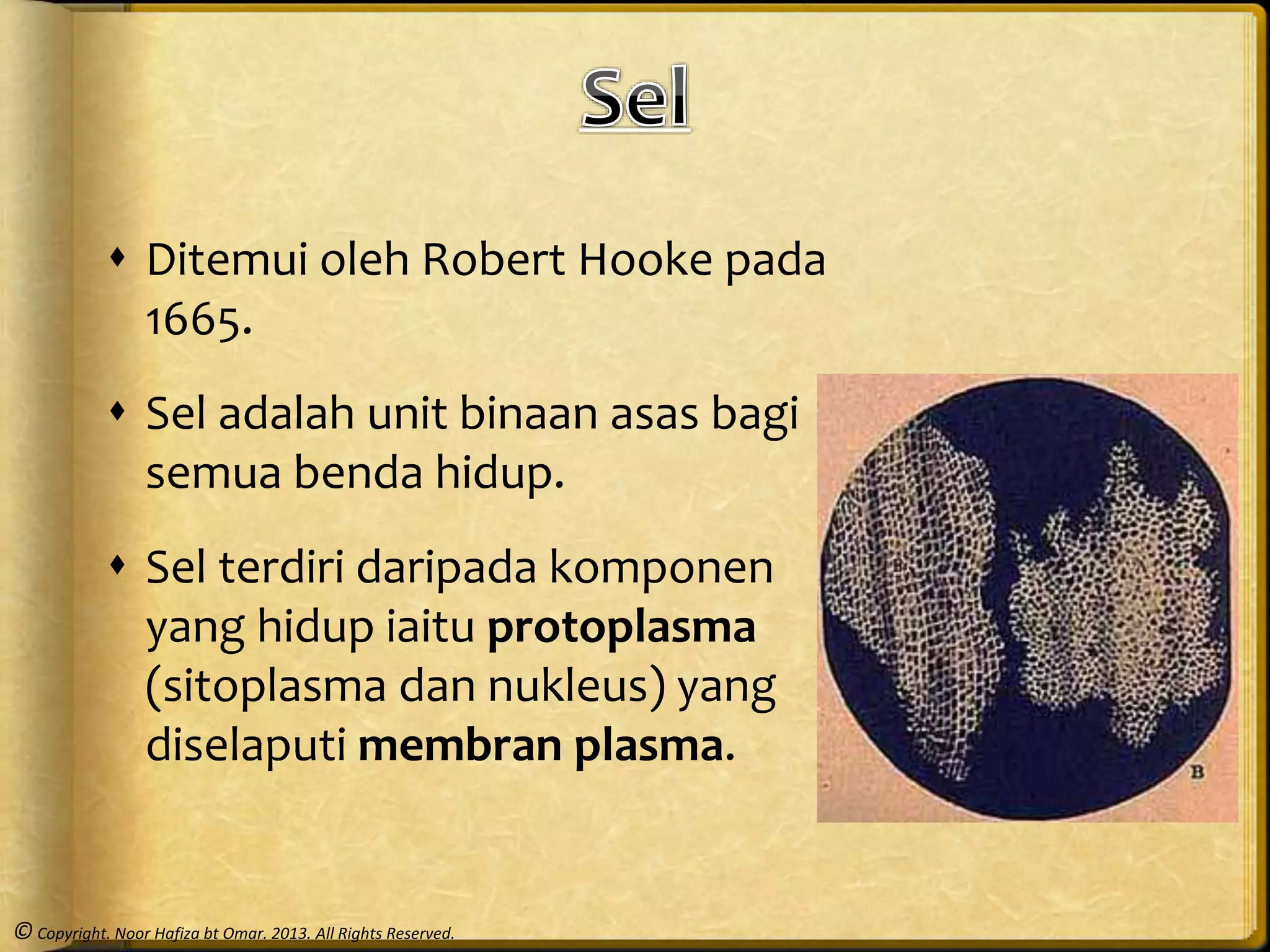 Bab 2 Struktur sel dan organisasi sel | PPTX