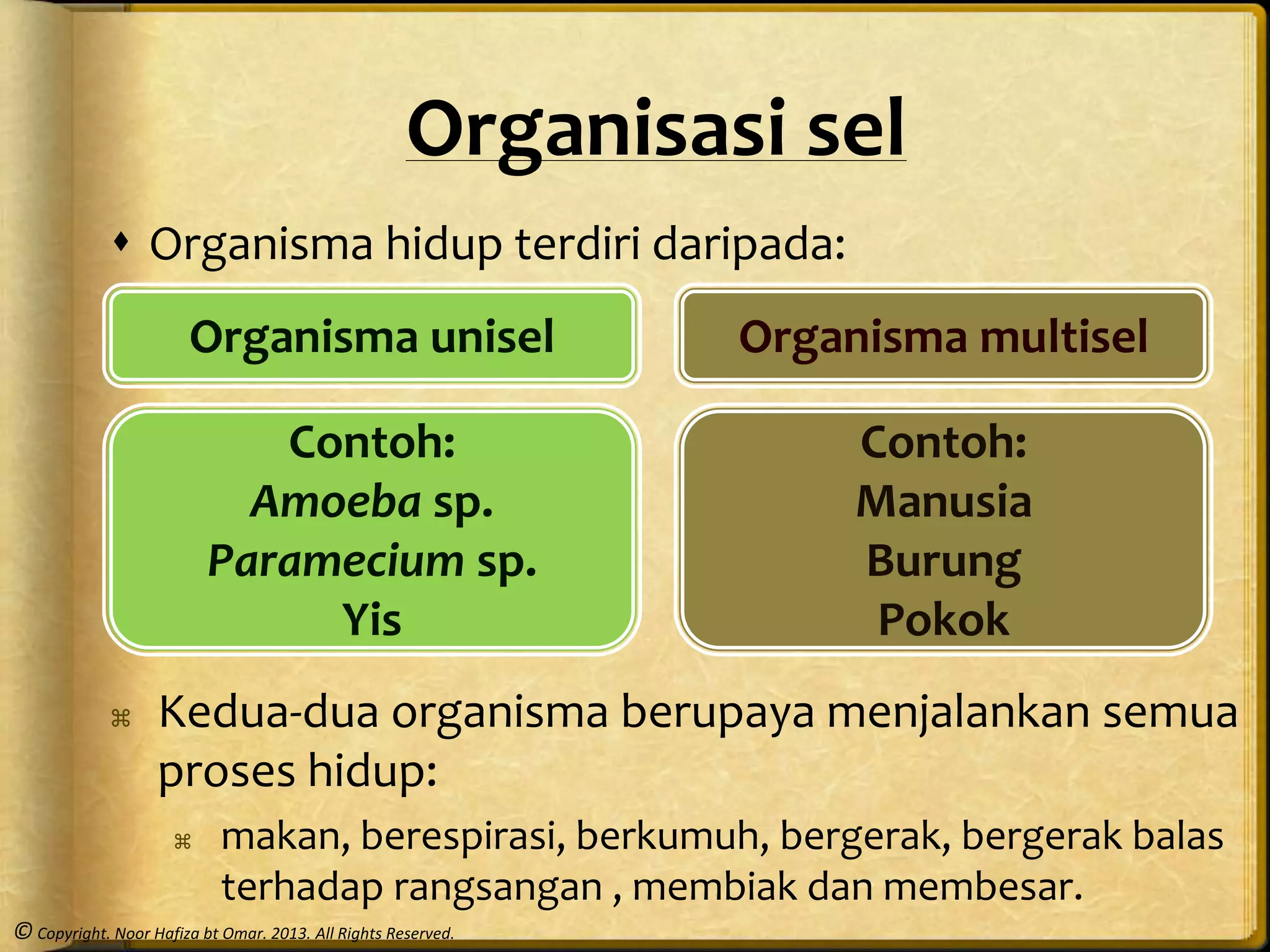 Bab 2 Struktur sel dan organisasi sel | PPTX