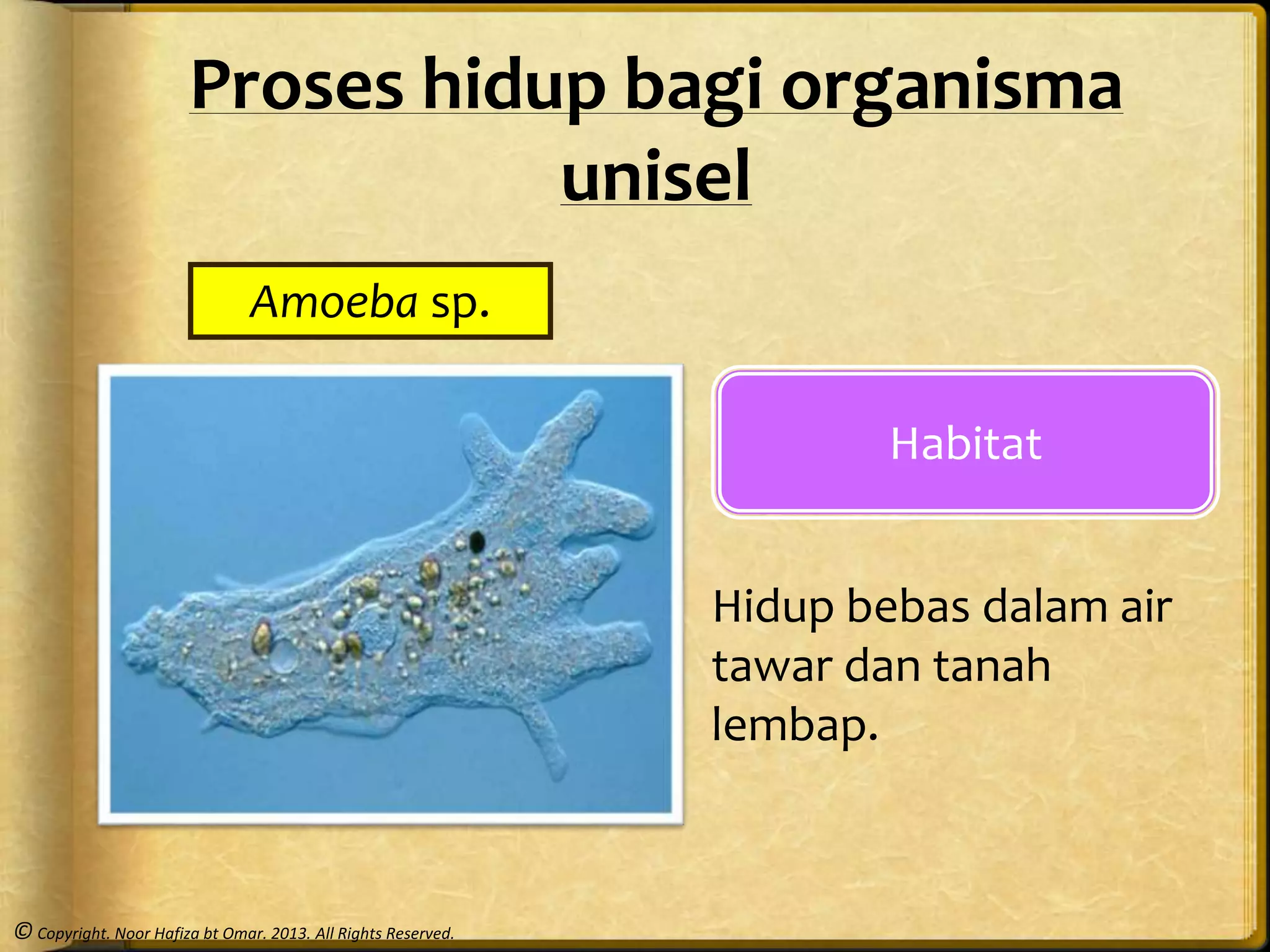 Bab 2 Struktur sel dan organisasi sel | PPTX