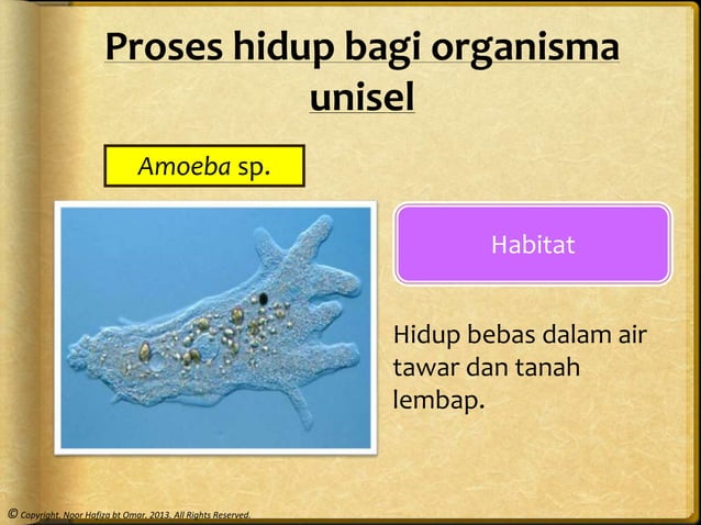 Bab 2 Struktur sel dan organisasi sel | PPTX