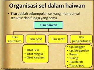 Bab 2 Struktur sel dan organisasi sel | PPTX