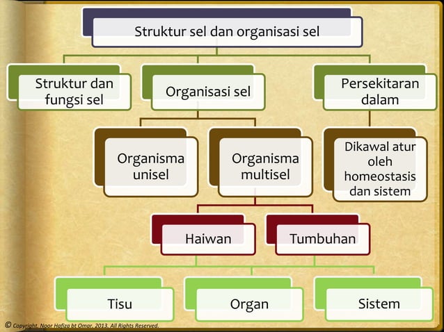 Bab 2 Struktur sel dan organisasi sel