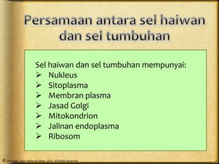 persamaan sel haiwan dan tumbuhan - Nicola Greene