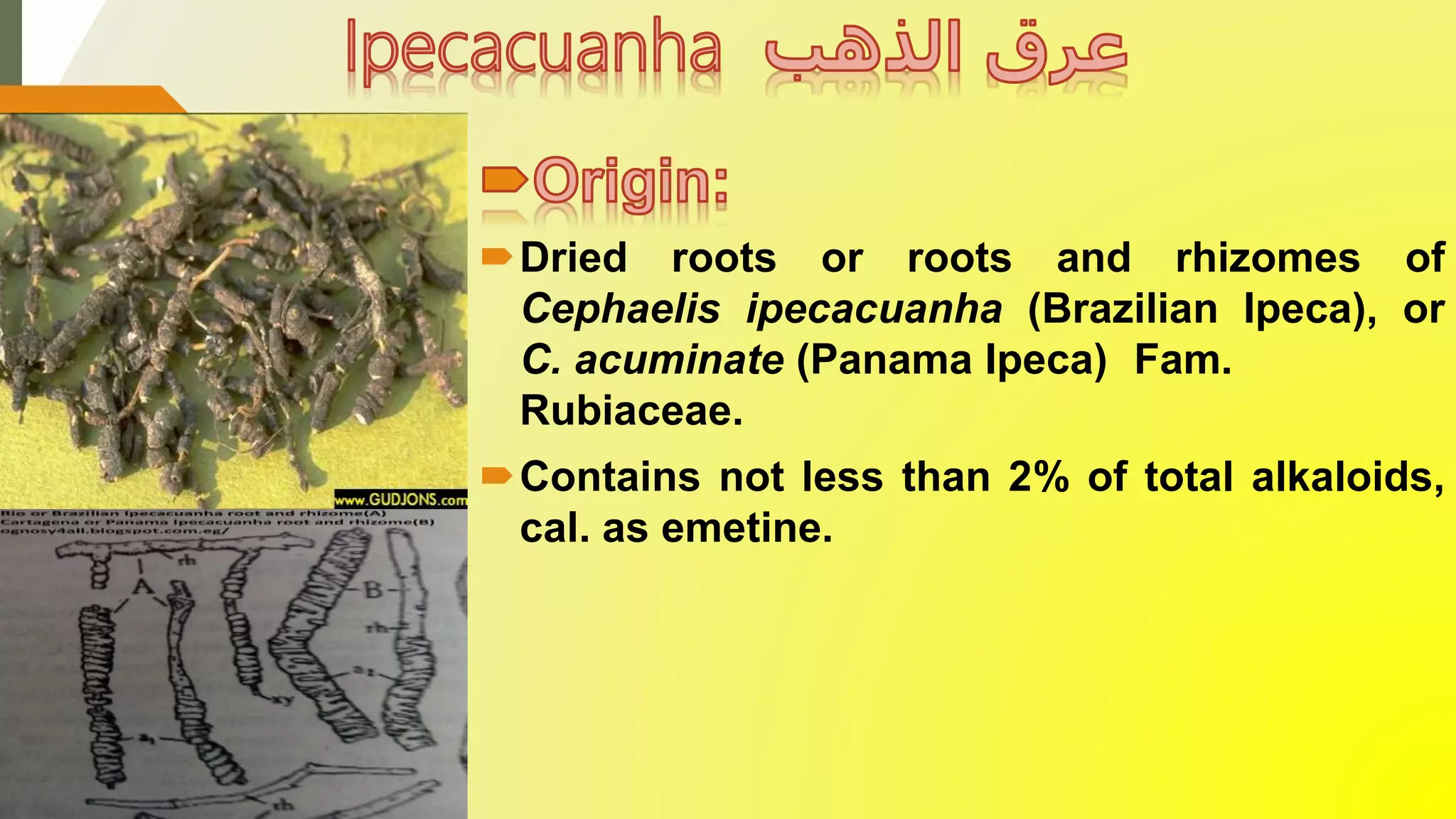 Ipecacuanha, SENEGA, GENTIAN, JALAP and ACONITE | PPTX