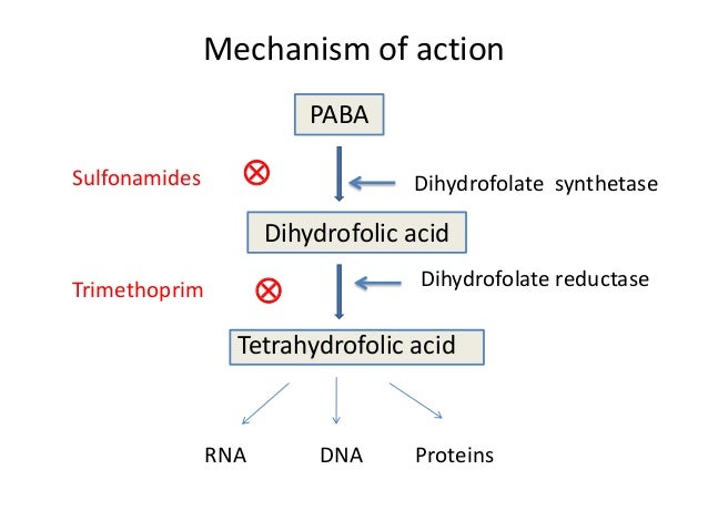 2.sulfonamides