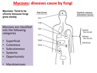 2-Superficial, Cutanous &systemic.ppt