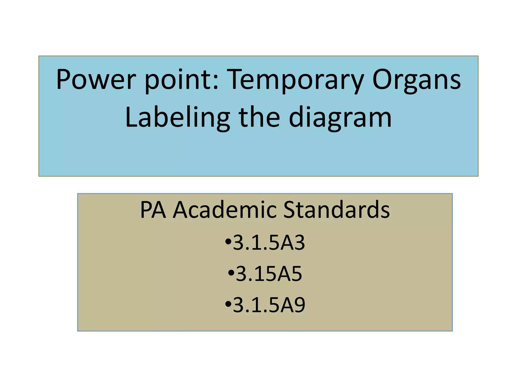 2. temporary organs grade 5 8th lesson | PPTX