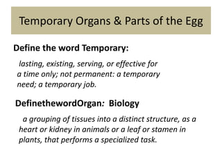 2. temporary organs grade 5 8th lesson | PPTX | Biological Sciences ...