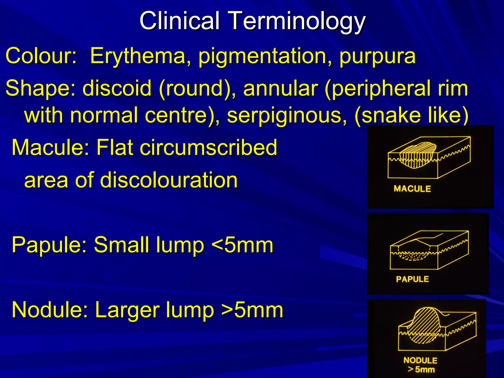 2.terminology used in dermatology rp | PPT